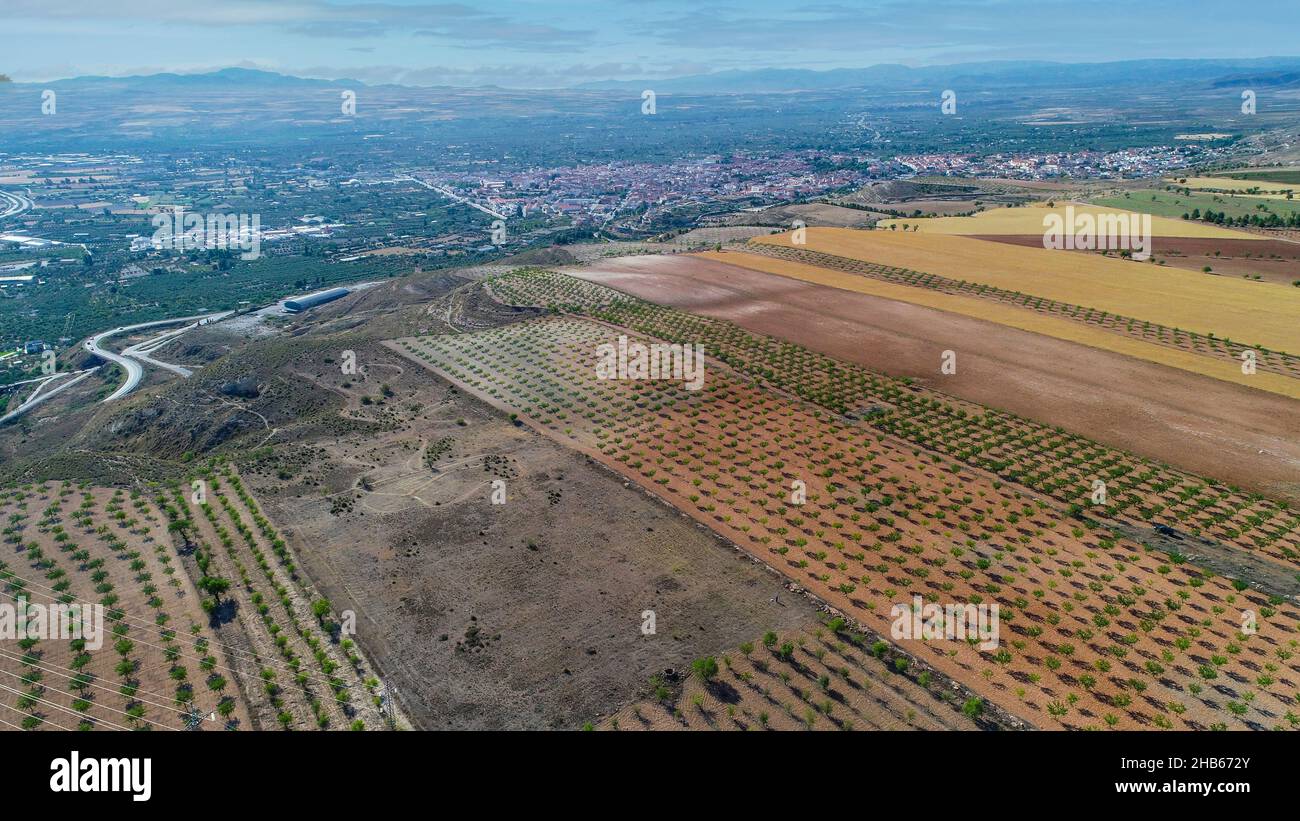 Aerial view of a parcel field of crops Stock Photo - Alamy