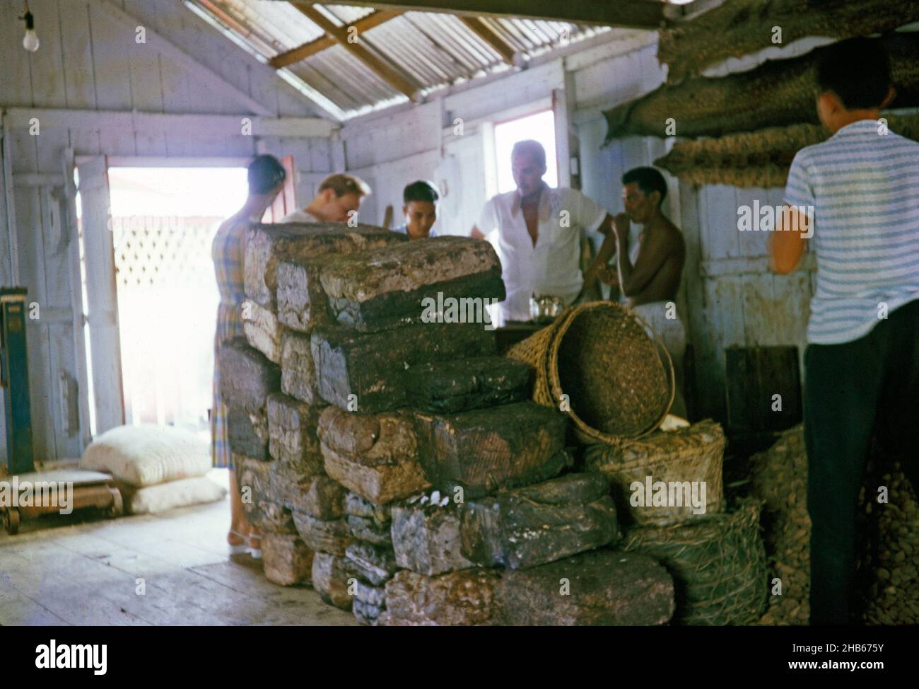 Inside merchant shop selling blocks of latex rubber and anaconda snake ...