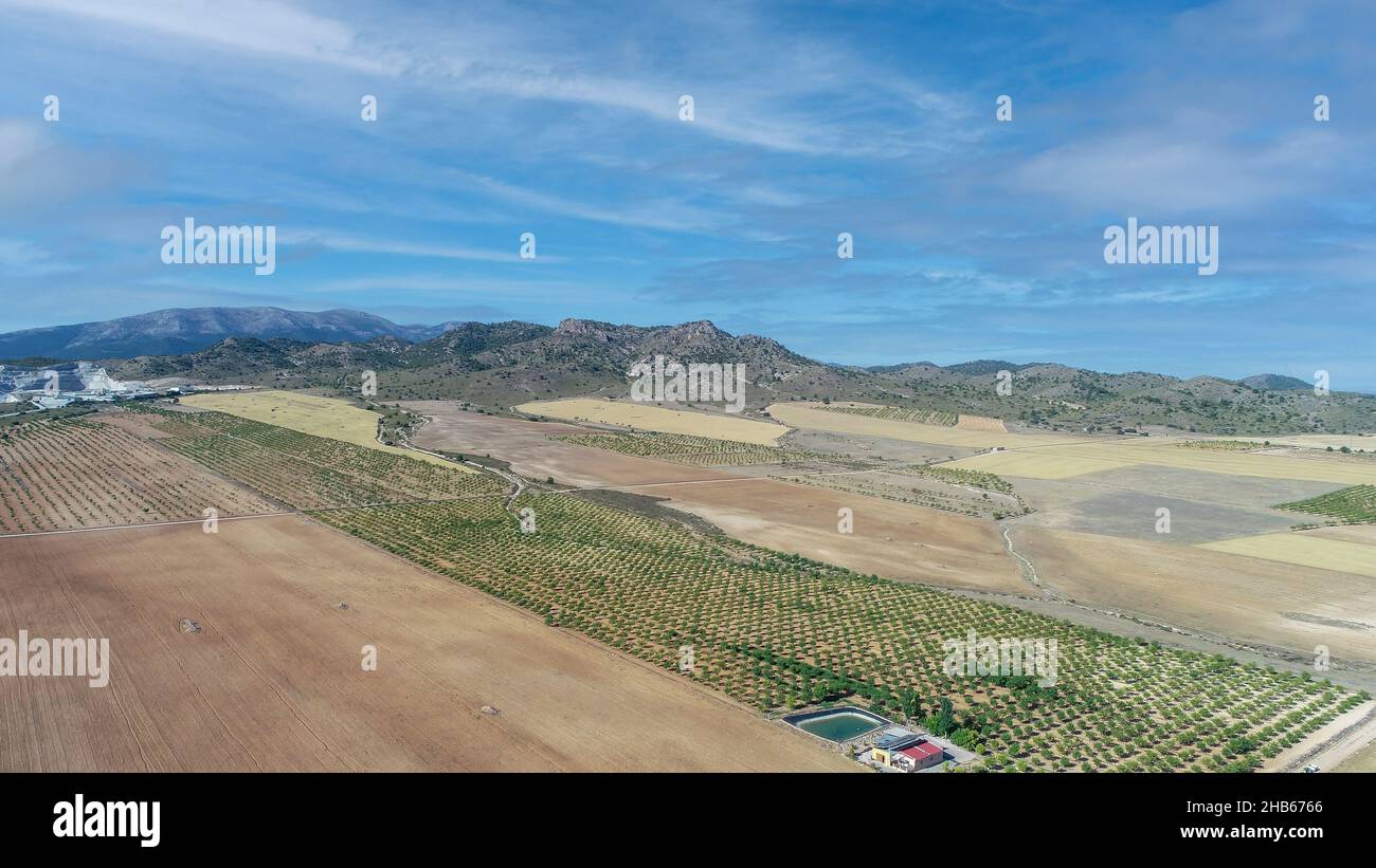 Aerial view of a parcel field of crops Stock Photo - Alamy