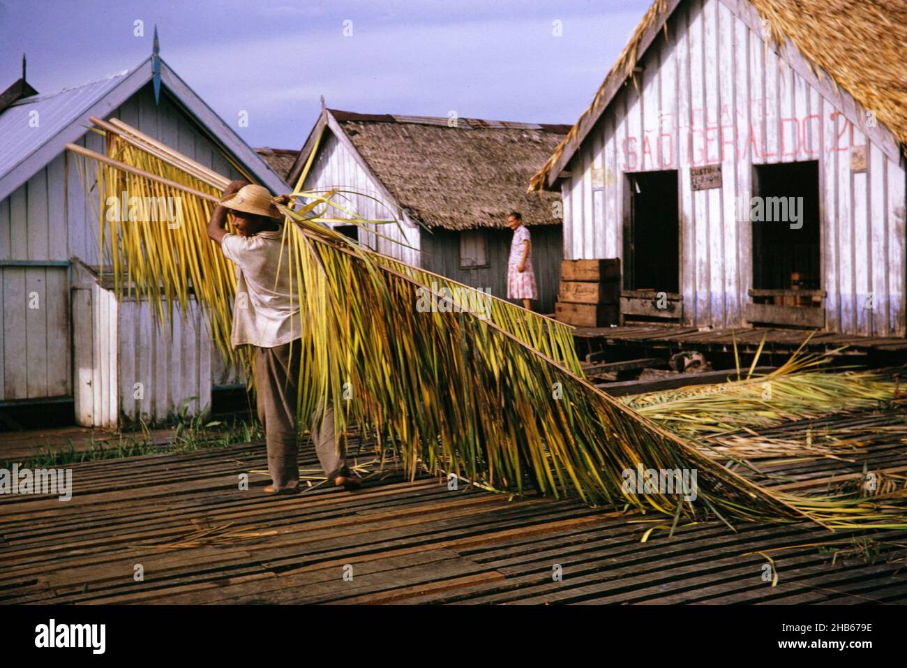 Informal housing wooden shacks built on timber logs known as the ...
