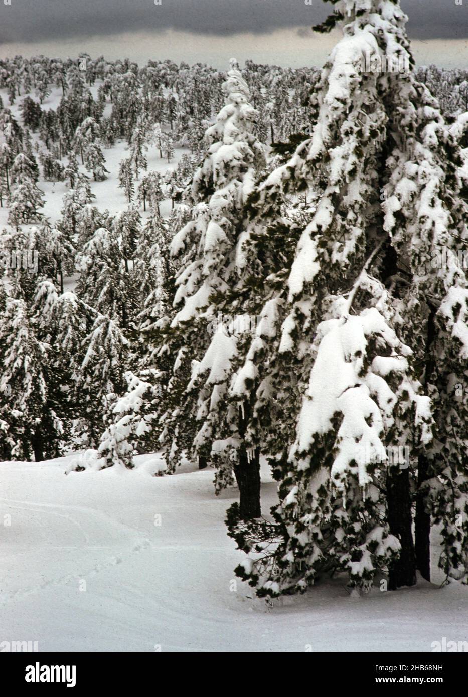 Heavy snow 1960s hi-res stock photography and images - Alamy