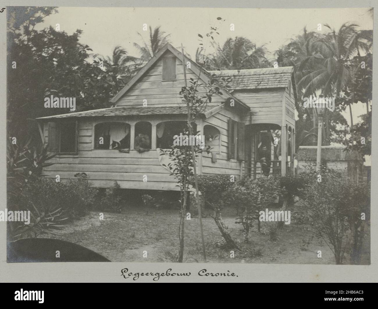 Plantage peperpot hi-res stock photography and images - Alamy