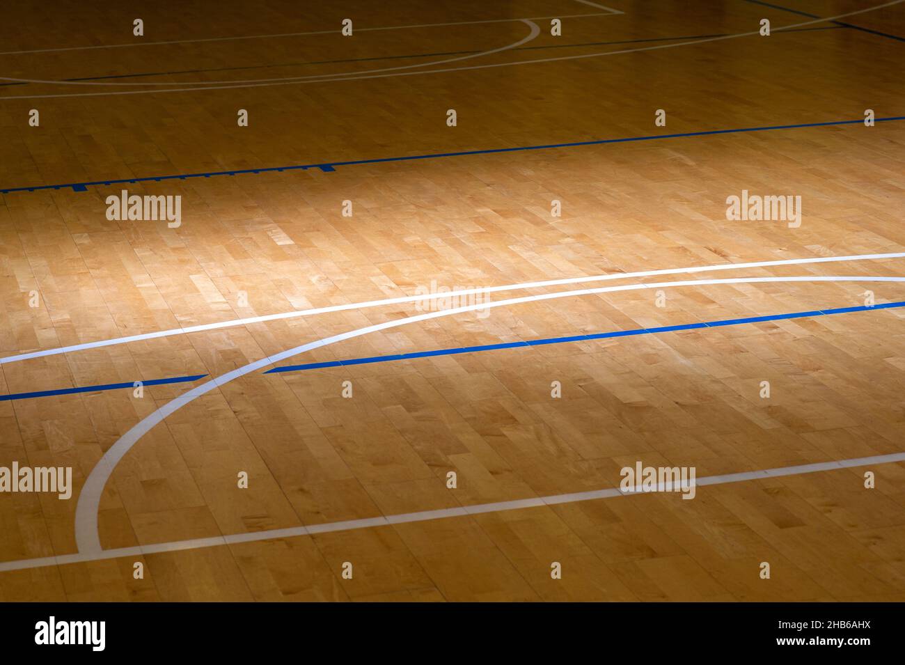 Basketball Volleyball And Handball Courts at Terry Asher blog