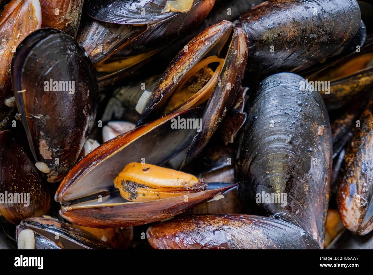 Meatal bowl of blue mussels in cream saucein metal bowl isolated ...