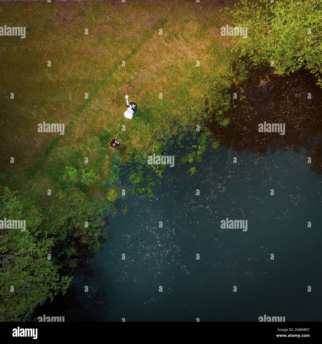 Tow down aerial view wedding photo shoot beautiful couple by lake ...