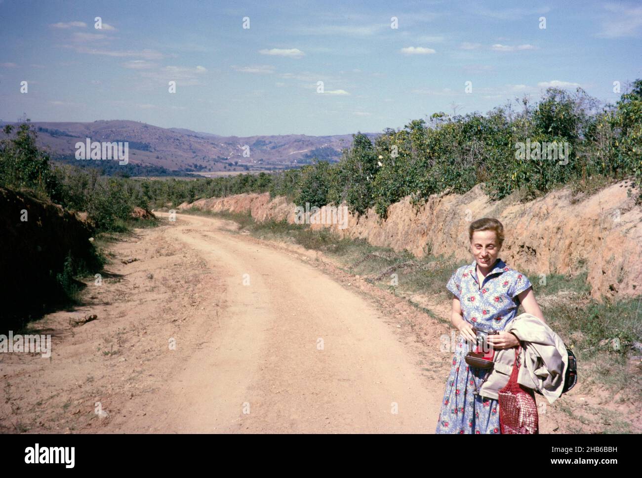 Margaret Folland road through coffee bushes, Fazenda Sant' Anna ...