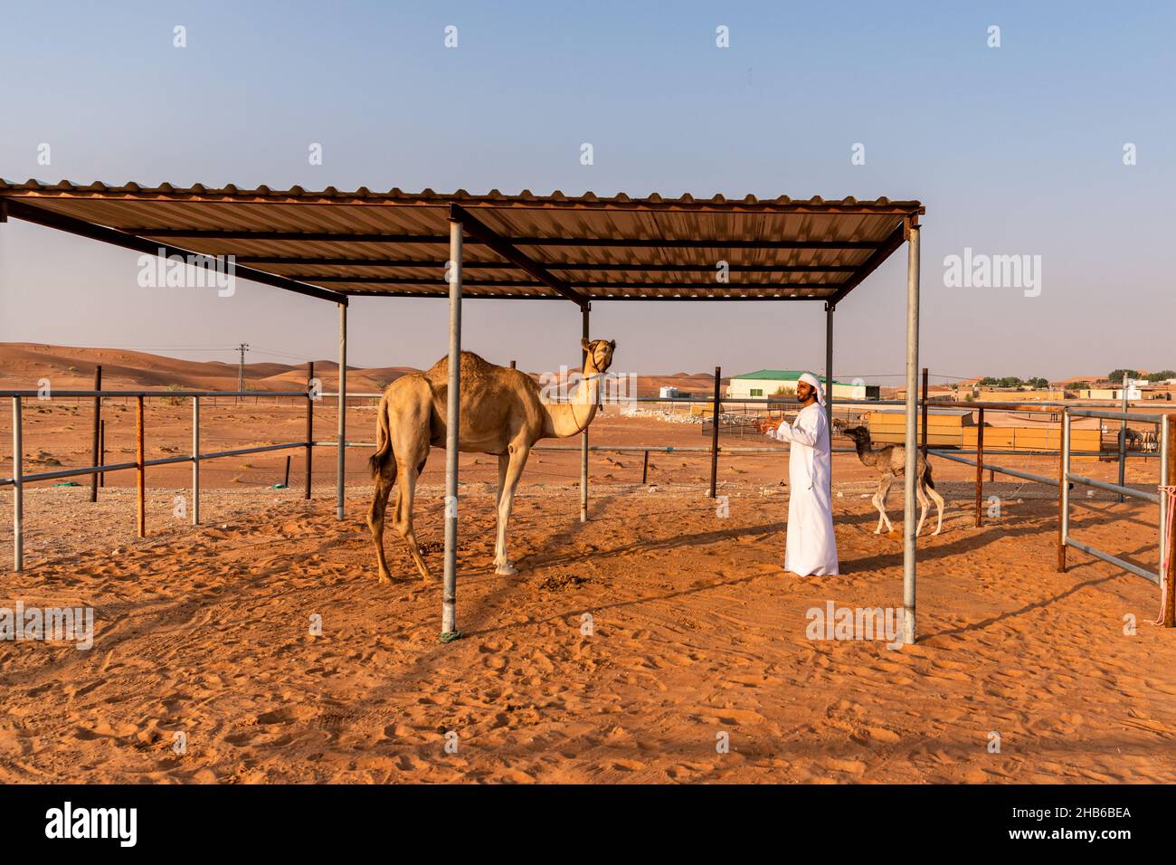 AL AIN, UNITED ARAB EMIRATES - Oct 13, 2021: An Emirati owner visiting ...