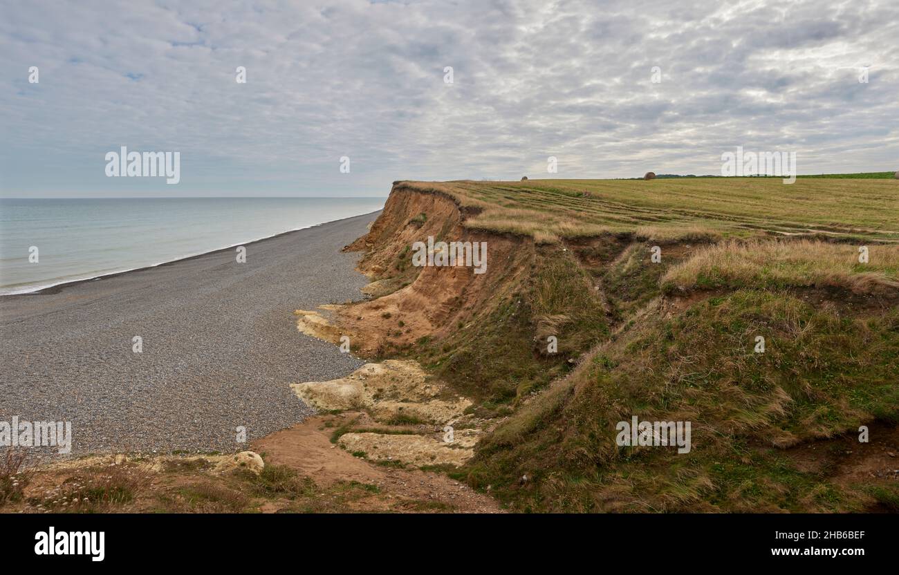 Crumbling cliffs and the stony beach and shoreline on the Norfolk Coast ...