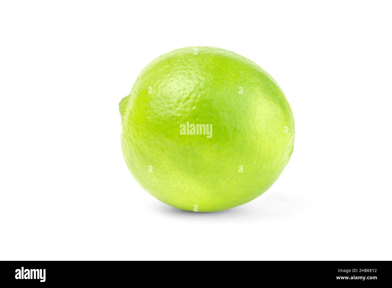 Single lime on white background Stock Photo - Alamy
