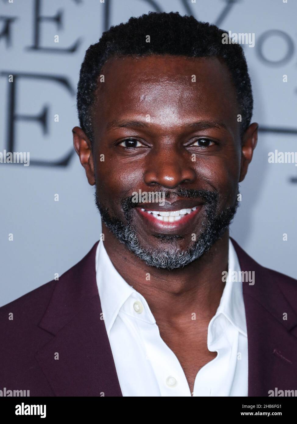 LOS ANGELES, CALIFORNIA, USA - DECEMBER 16: American actor Sean Patrick ...