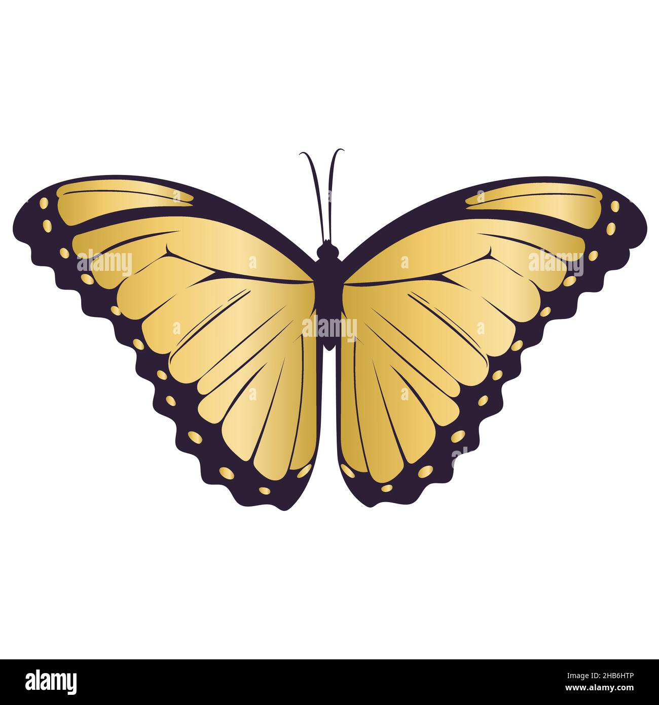Beautiful symmetrical golden butterfly isolated vector illustration ...