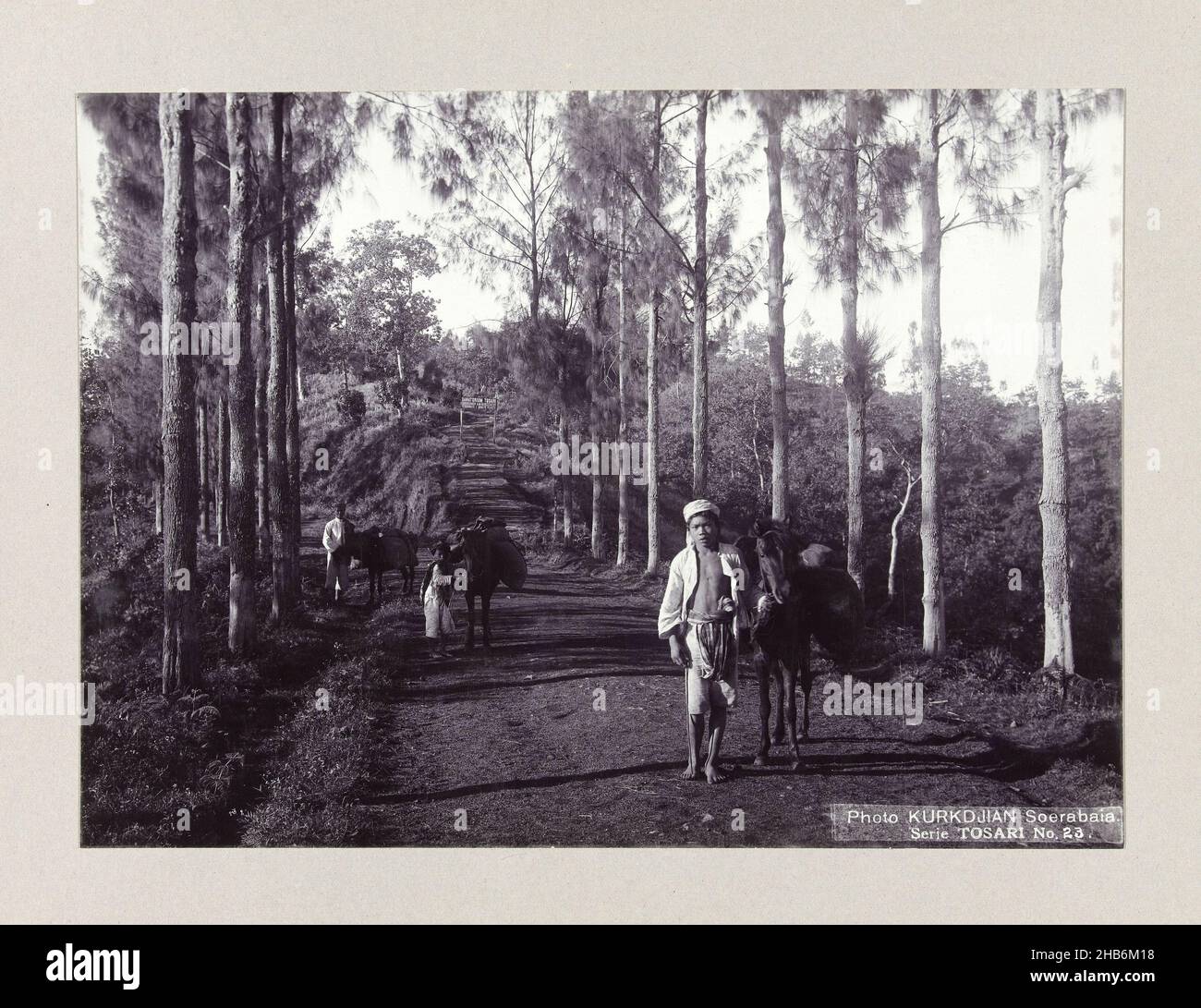 Serie tosari no hi-res stock photography and images - Alamy