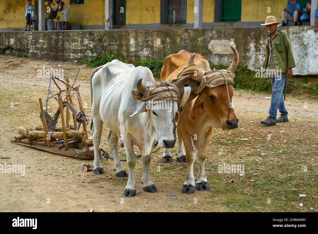Domestic worker hi-res stock photography and images - Alamy