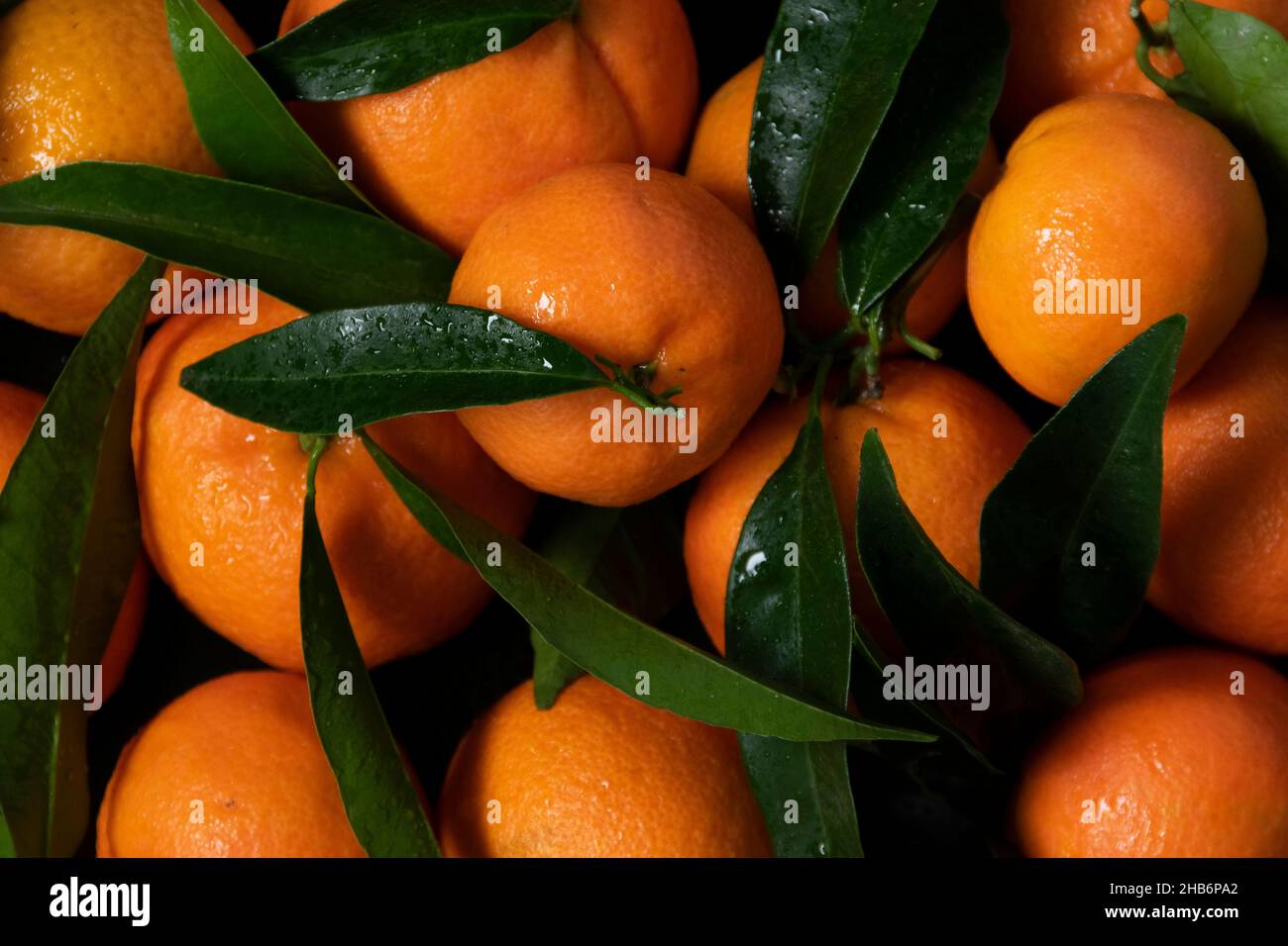 Fresh raw tangerine on dark background, healthy food ingredients Stock ...
