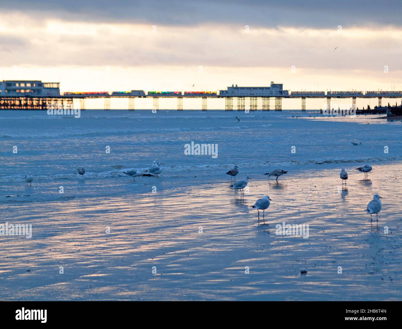 Dominic winters hi-res stock photography and images - Alamy