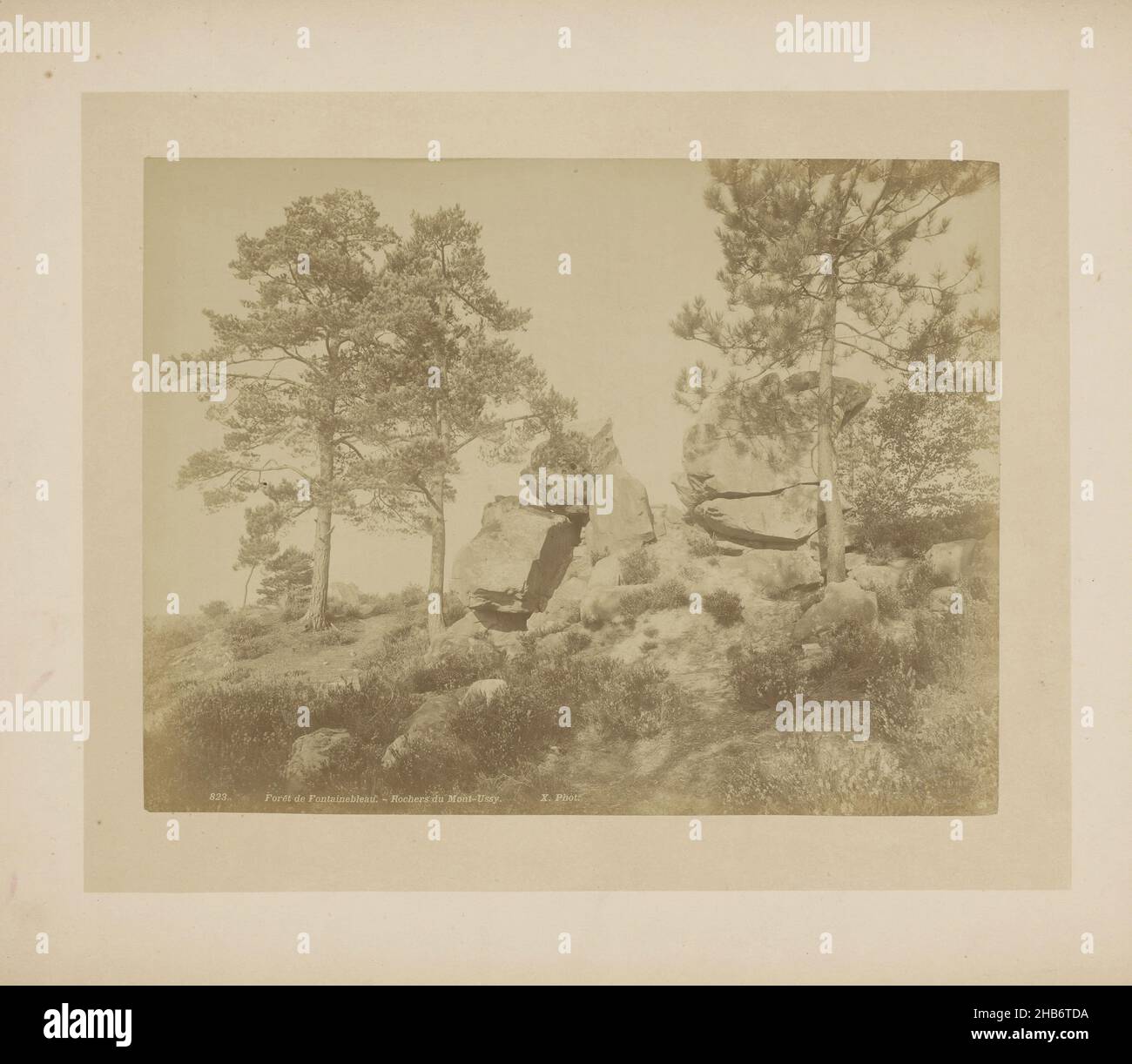 Largest contiguous forests hi-res stock photography and images - Alamy