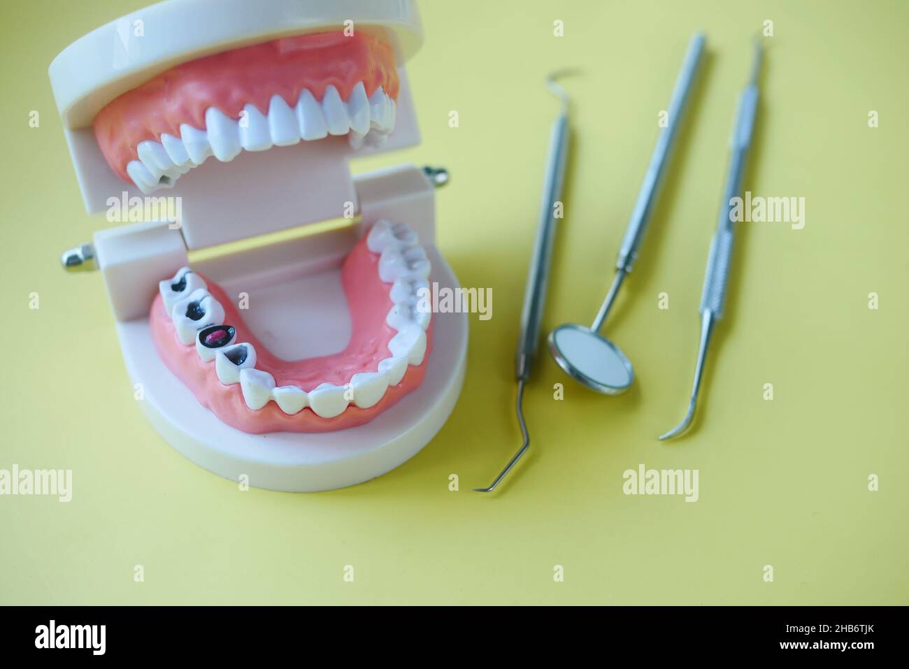 plastic dental teeth model on white background Stock Photo - Alamy