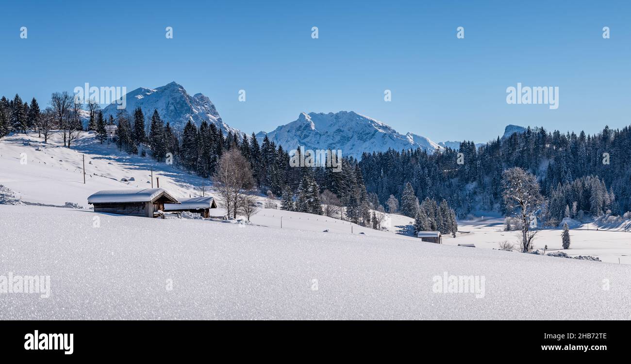 Unken heutal hi-res stock photography and images - Alamy