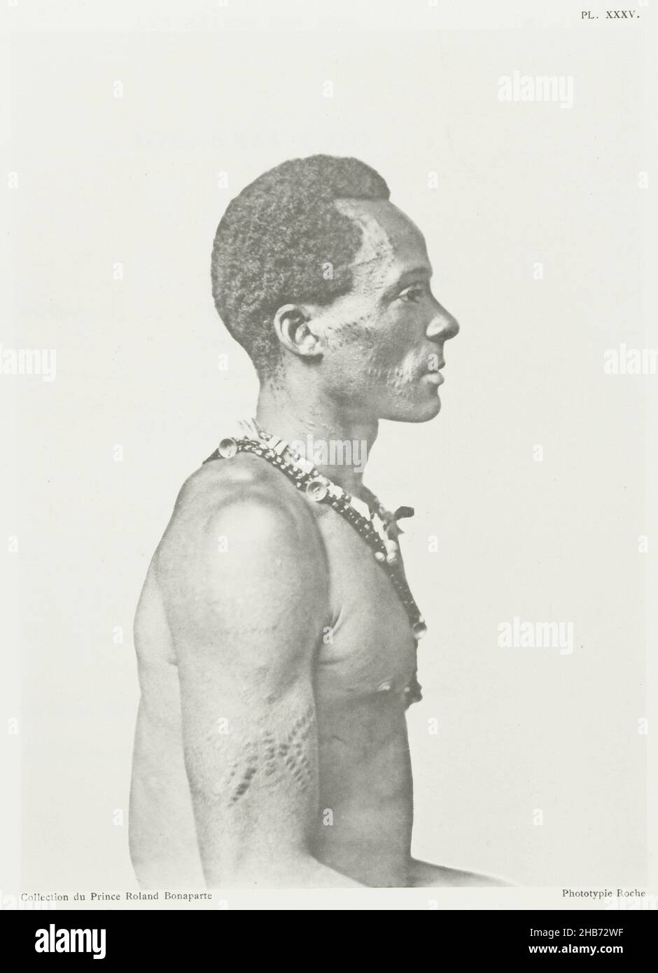 Kojo a slen gri hi-res stock photography and images - Alamy