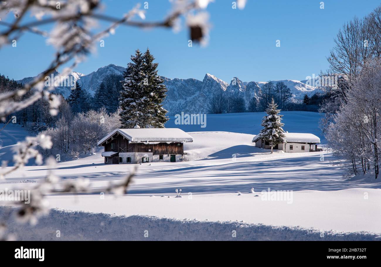 Alpine hut in an idyllic winter landscape in Austria, Heutal, Unken ...