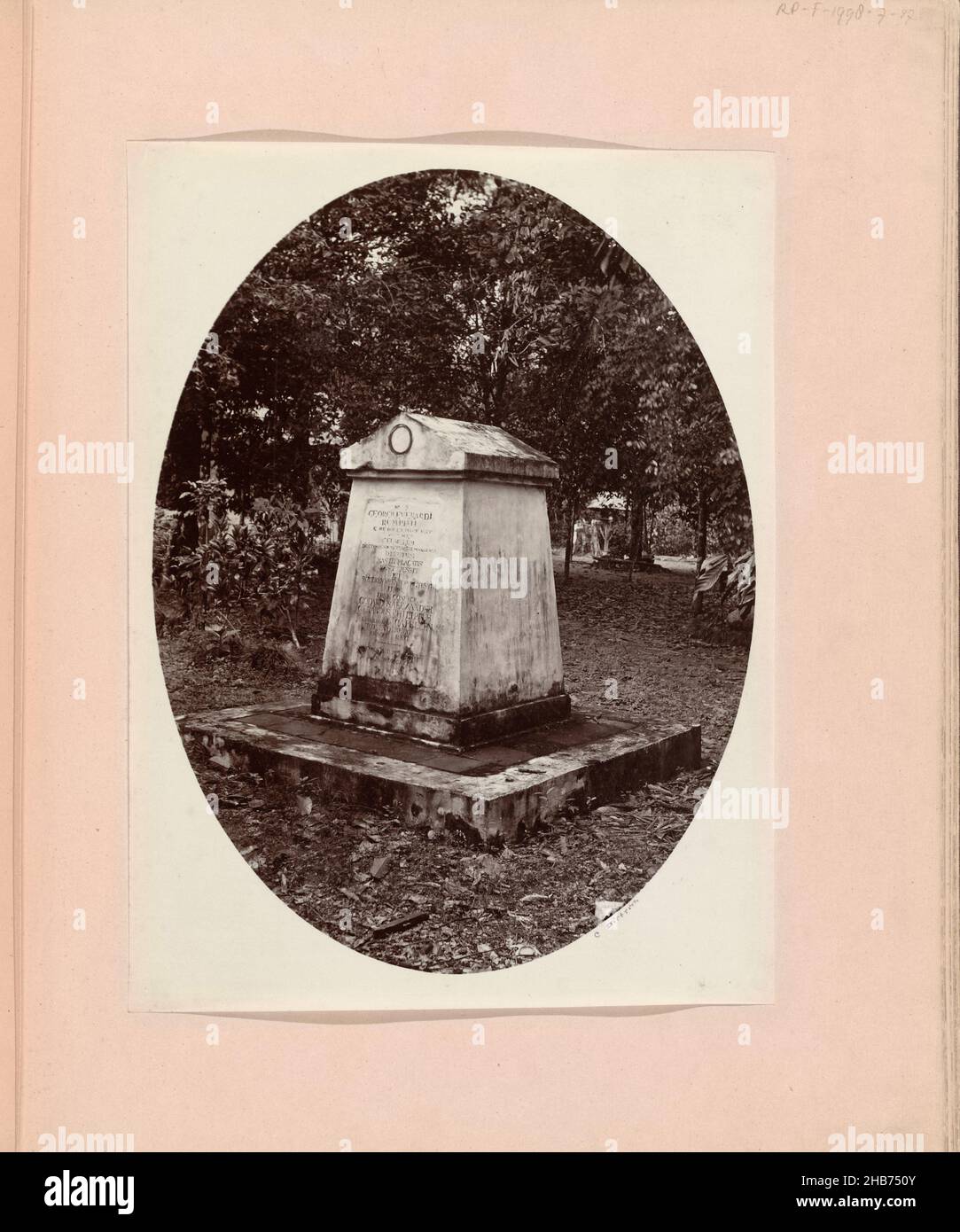 Georg everhard rumphius hi-res stock photography and images - Alamy