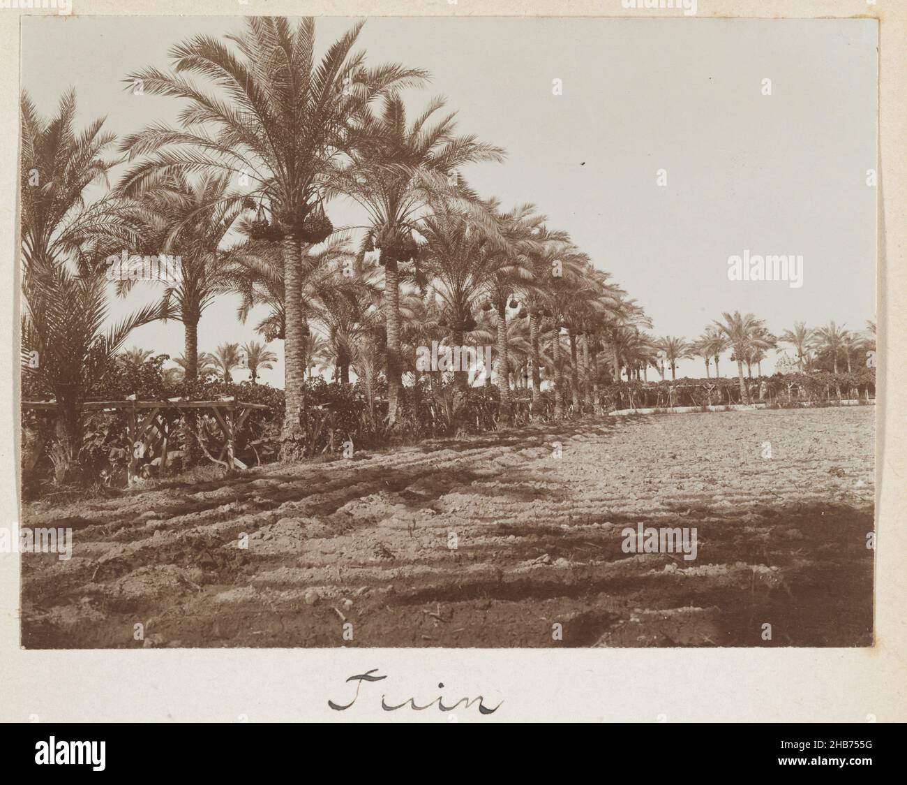 Greek antoniades hi-res stock photography and images - Alamy