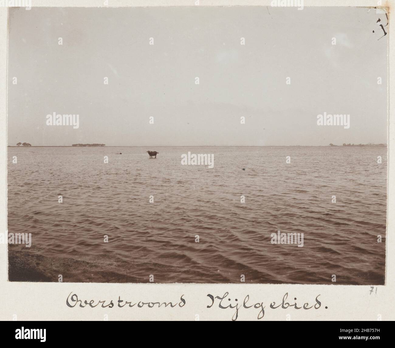 Flooded nile area hi-res stock photography and images - Alamy