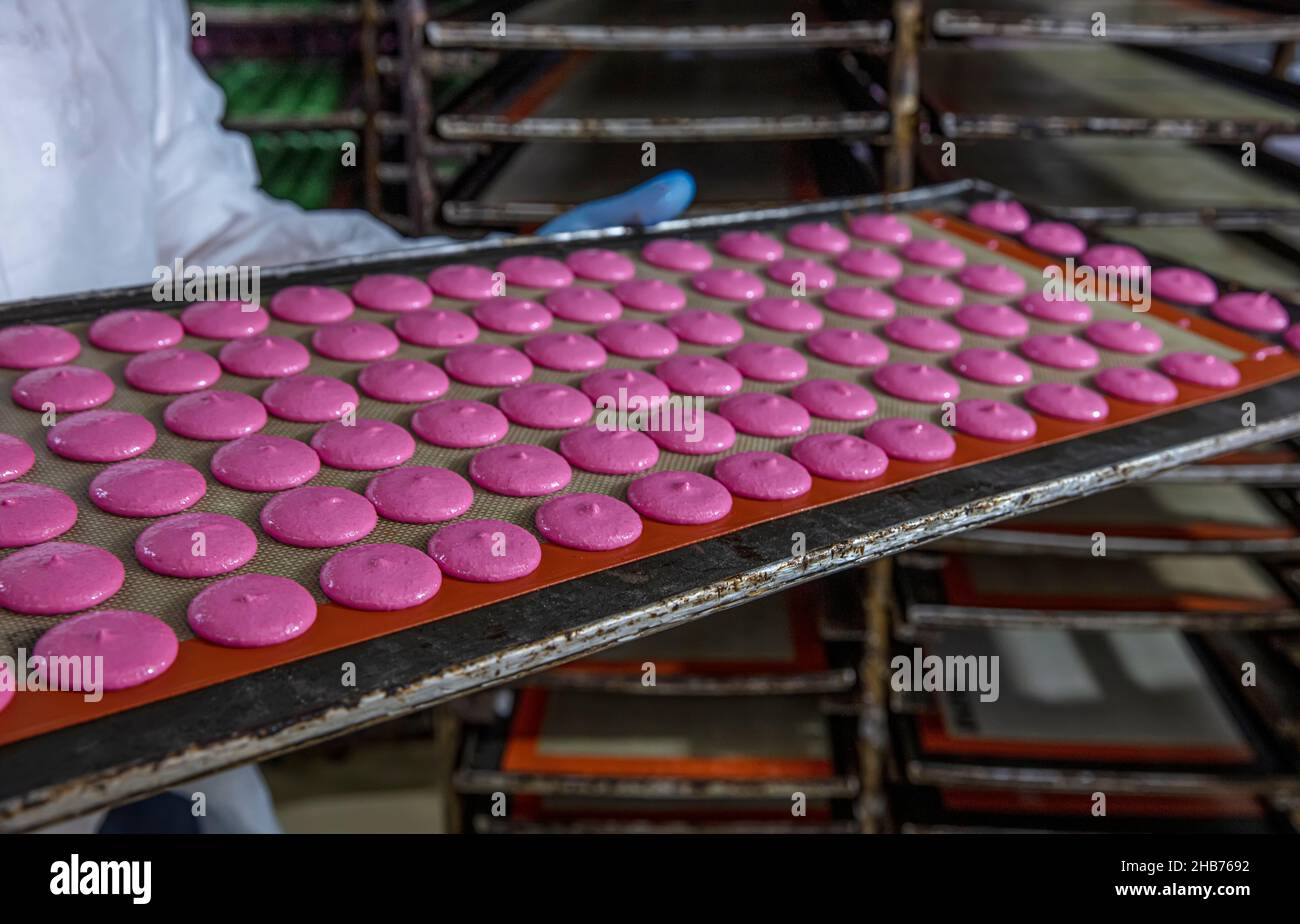 Production of macarons. Preparation of pink dough. Pink Buttercream ...