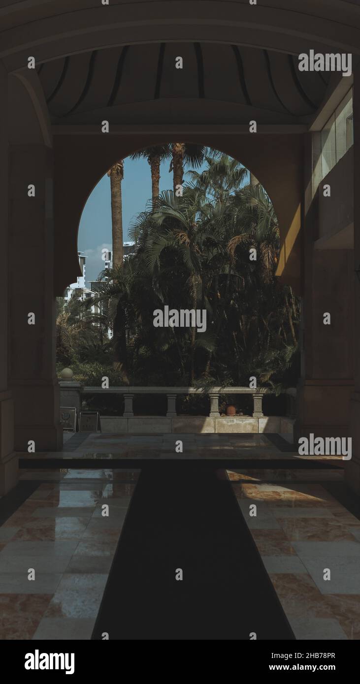 Vertical view from the balcony with green trees in the back, artsy ...