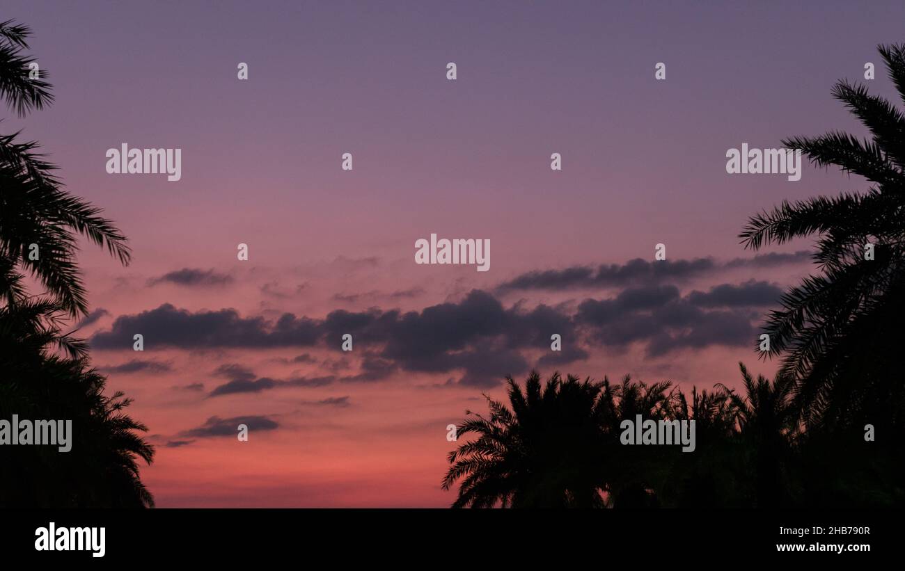 Beautiful pink sky during sunset, artsy aesthetic Stock Photo - Alamy
