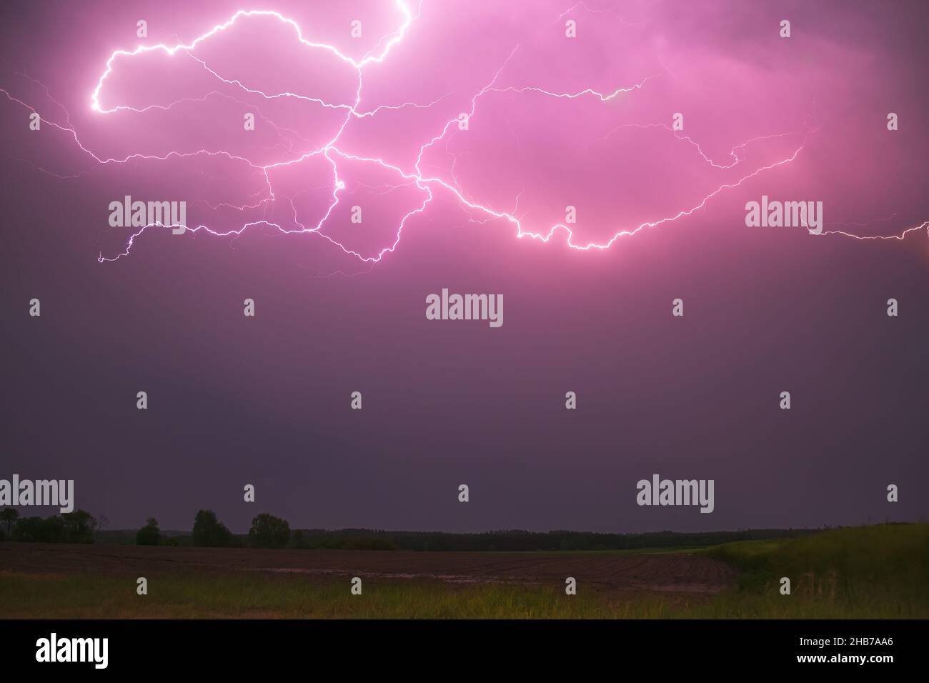 Lightning with with beautiful purple light, thunderstorm at summer ...