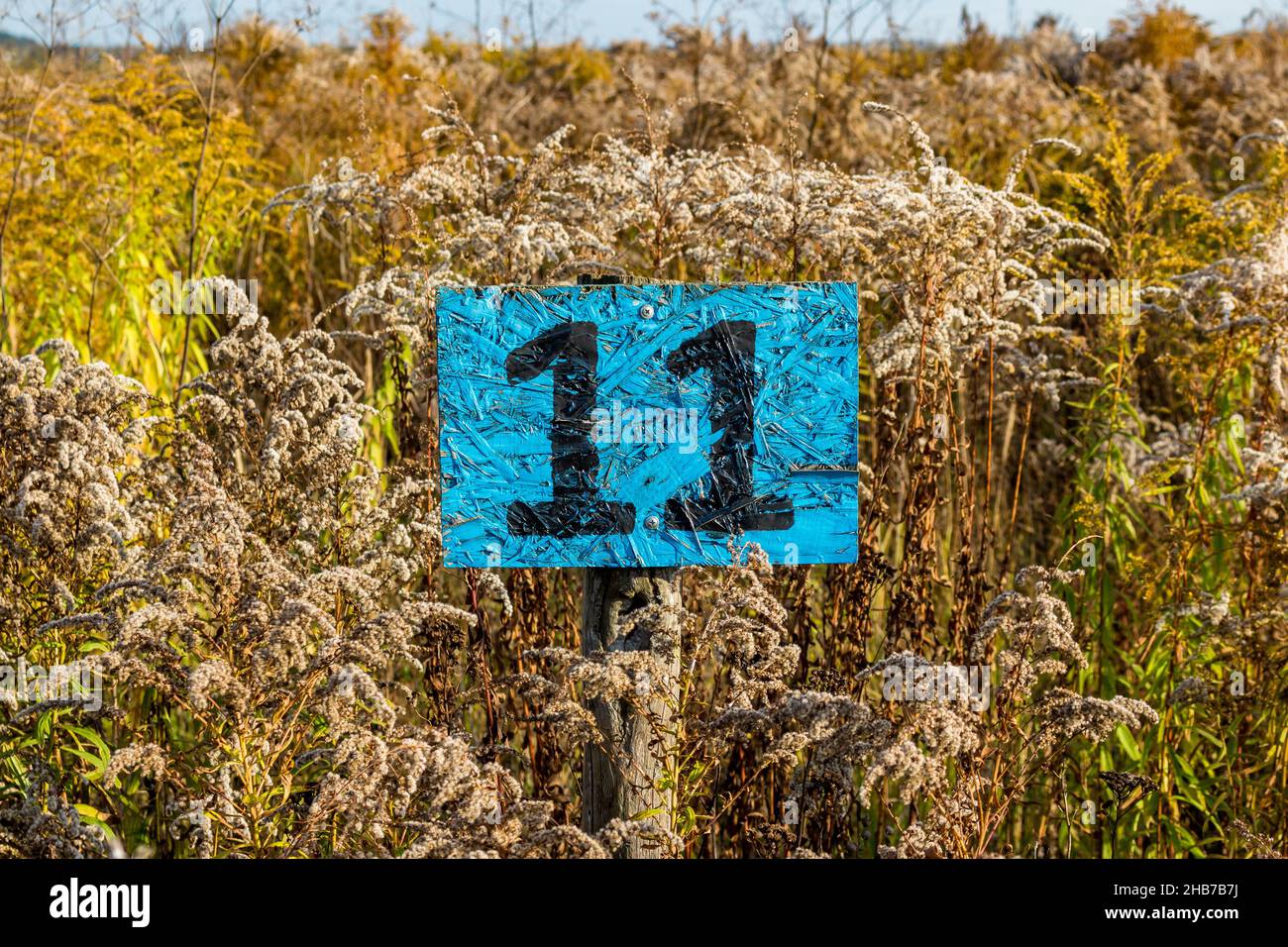 The number eleven 11 printed on the plate installed in the field ...
