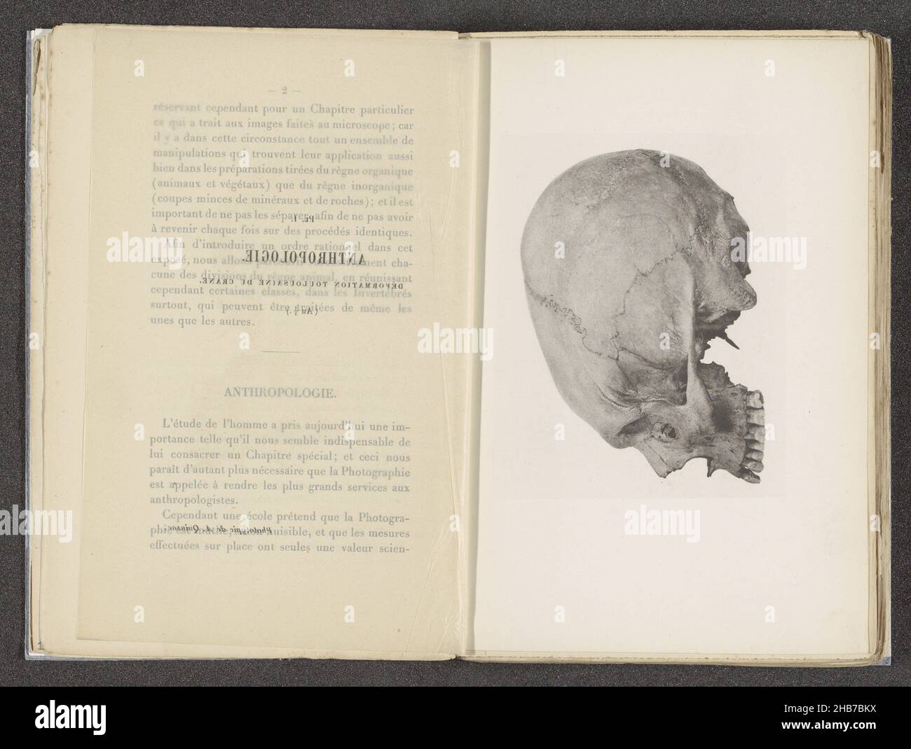 Adolphe louis donnadieu hi-res stock photography and images - Alamy