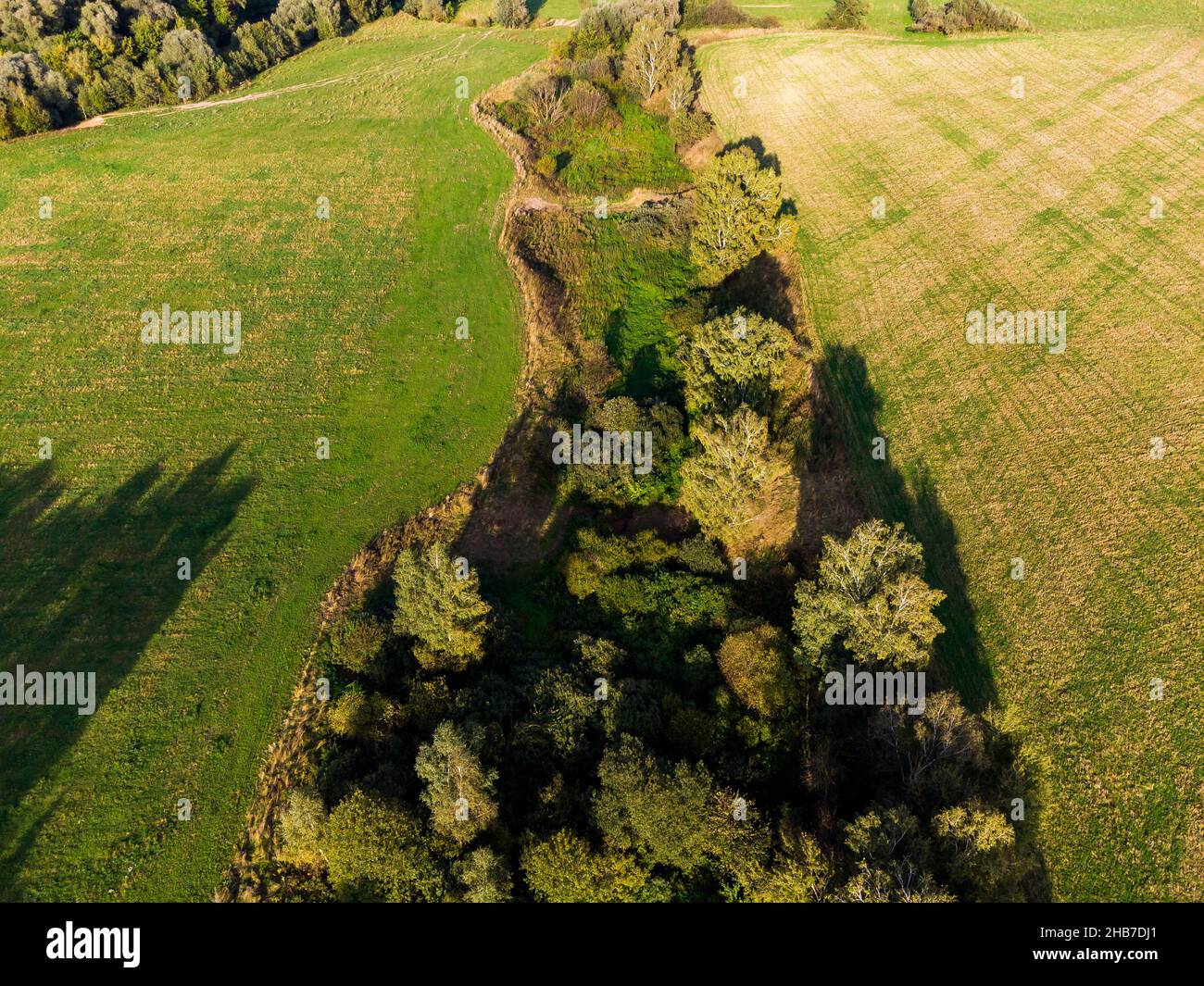 Small overgrown ravine between agricultural fields, aerial view Stock ...