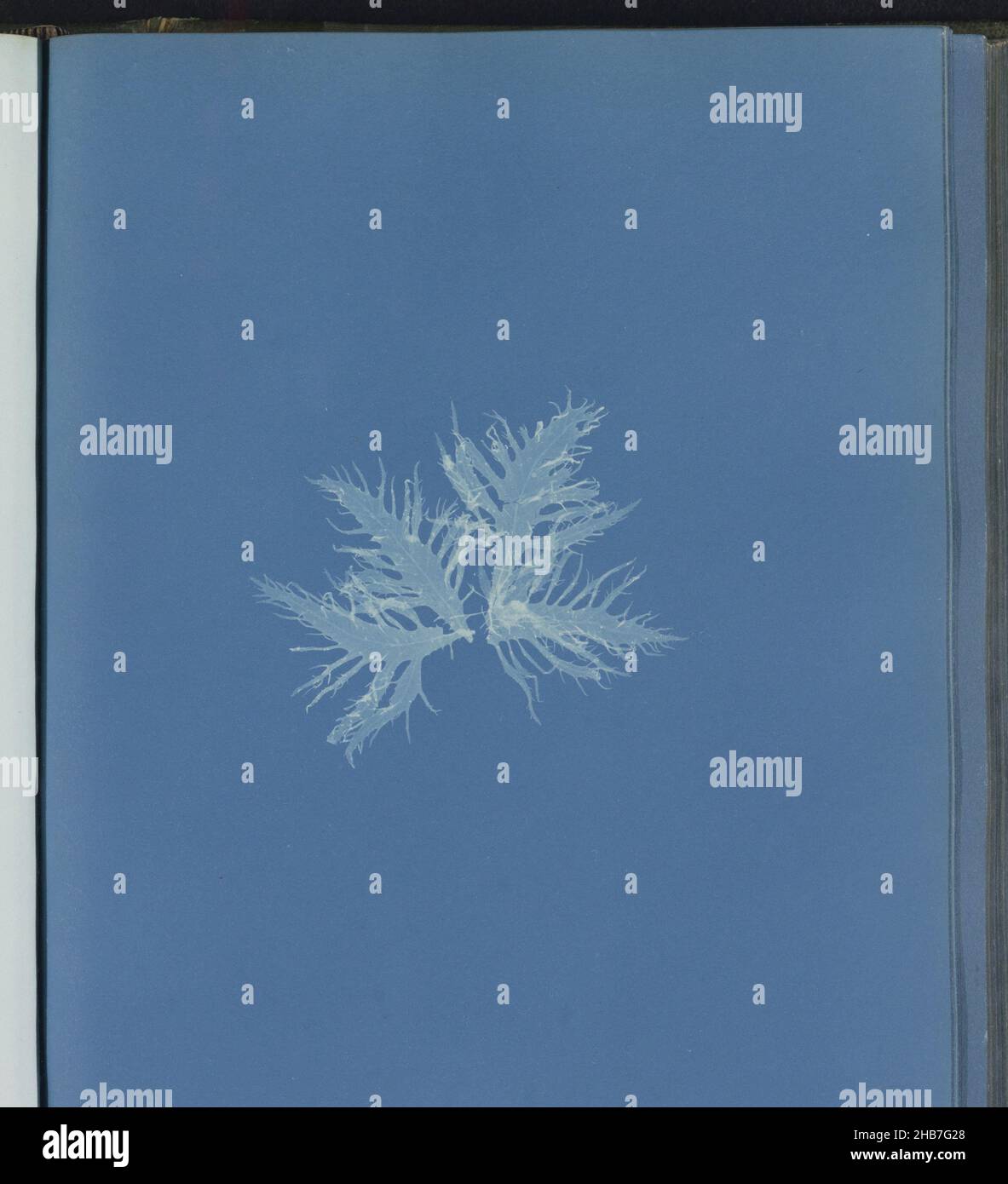 Sinuosa hi-res stock photography and images - Alamy