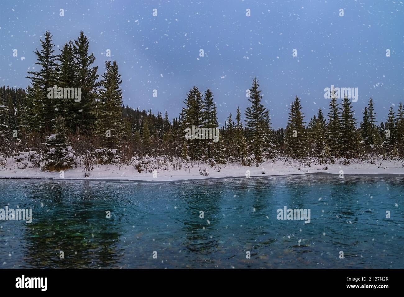 Snowflakes falling down winter hi-res stock photography and images - Alamy