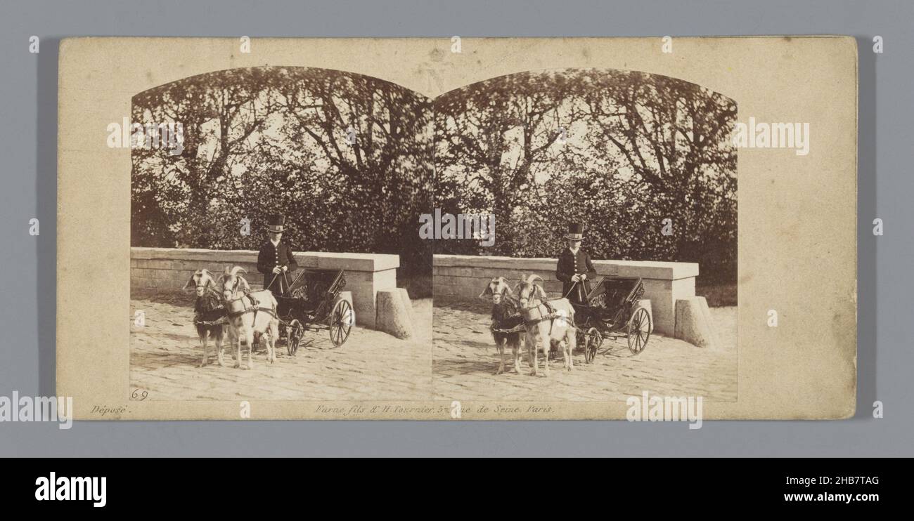Goat cart of Napoleon Eugène Louis Bonaparte in the garden of the ...