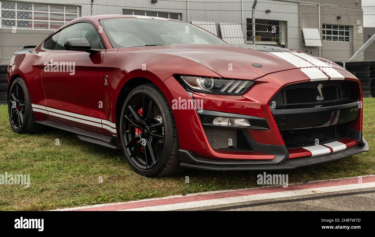 PONTIAC, MI/USA - SEPTEMBER 22, 2021: A 2021 Ford Shelby Mustang GT 500 ...