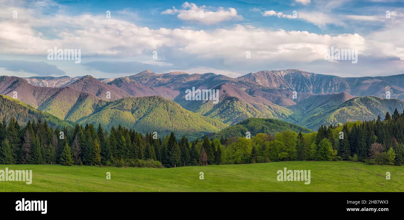 nature in Slovakia Stock Photo - Alamy