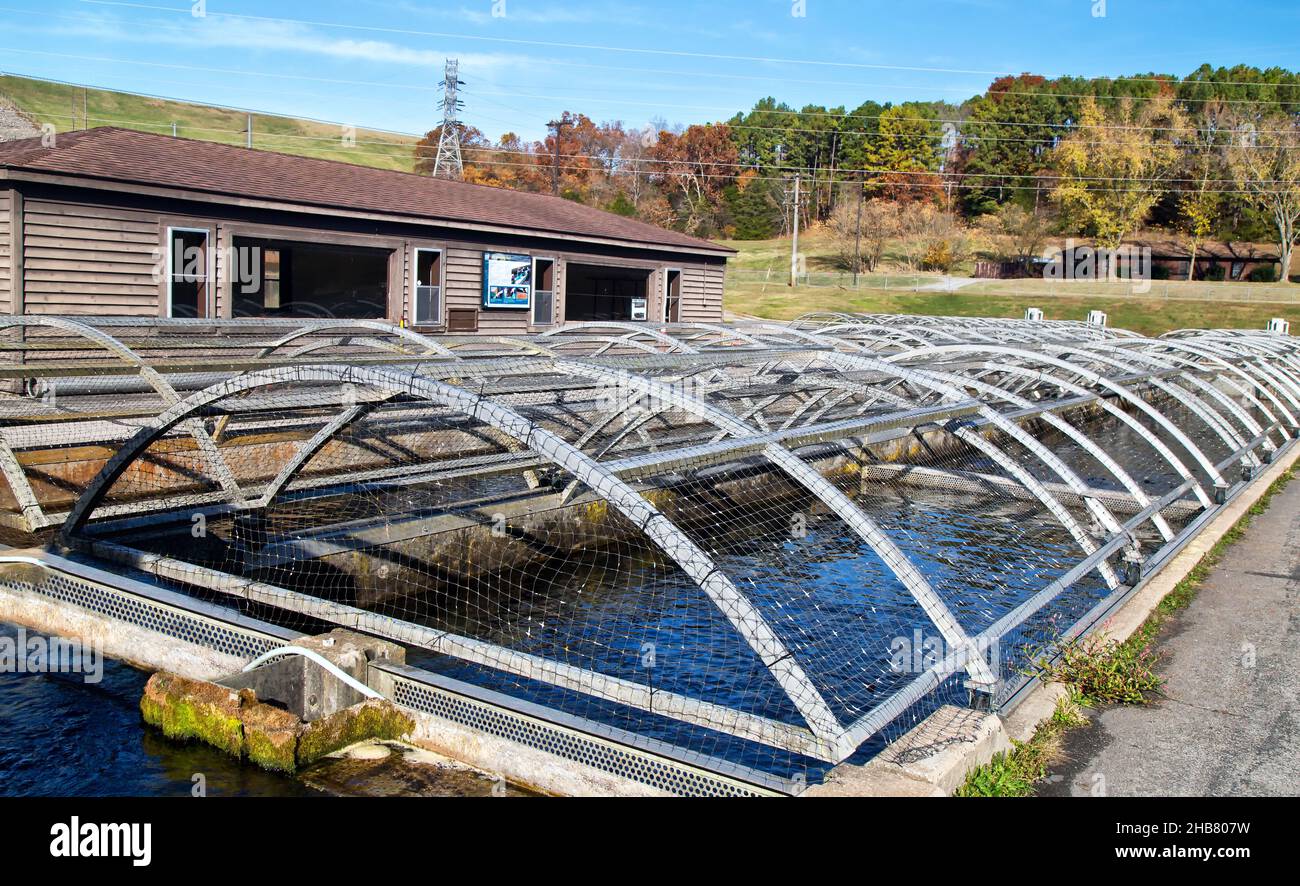 Spawning shed hi-res stock photography and images - Alamy