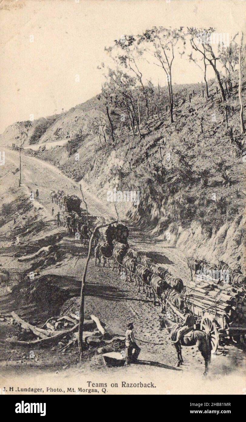 Razorback range hi-res stock photography and images - Alamy