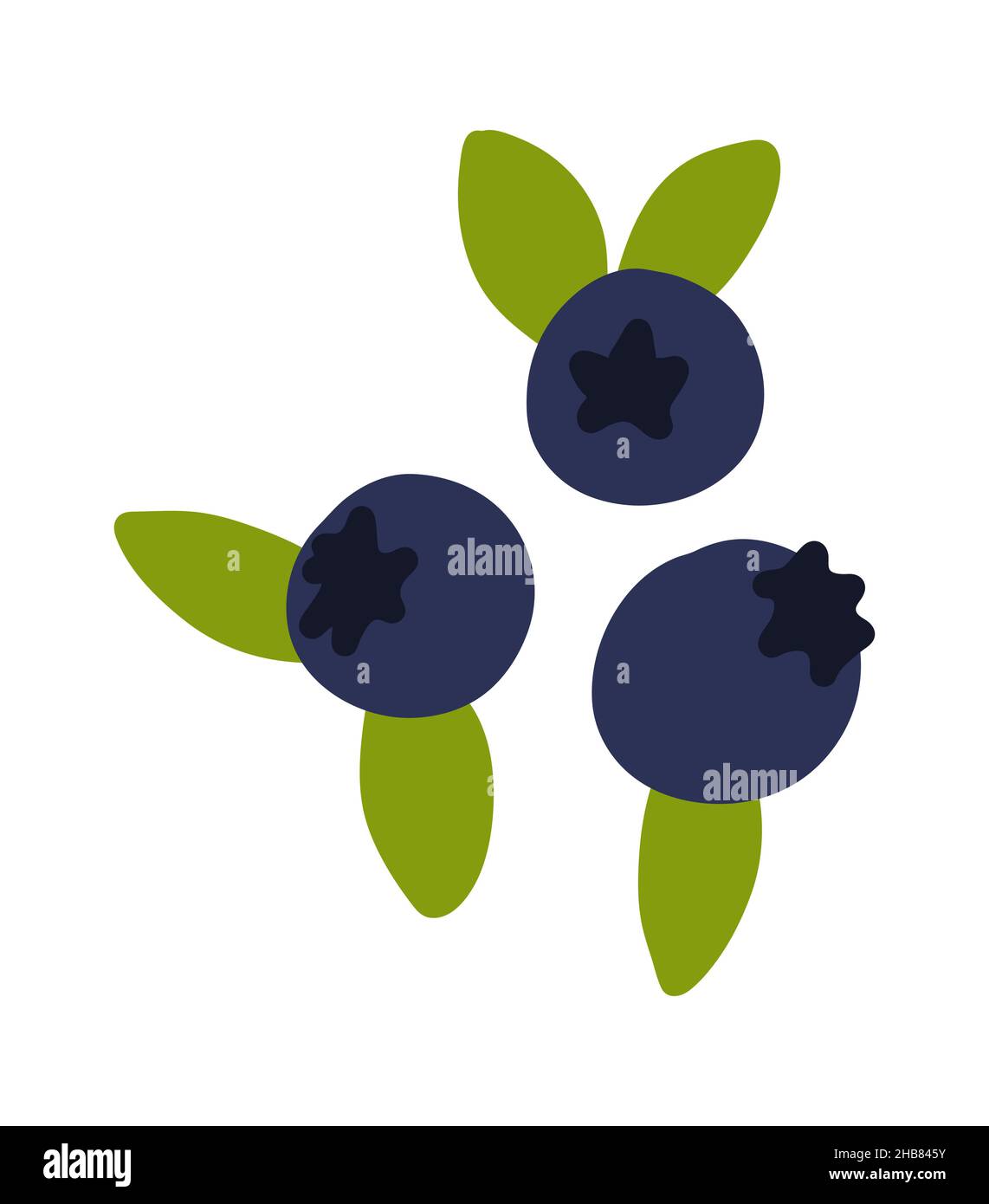 Blueberry. Doodle bilberry. Vector huckleberry food icon Stock Vector ...