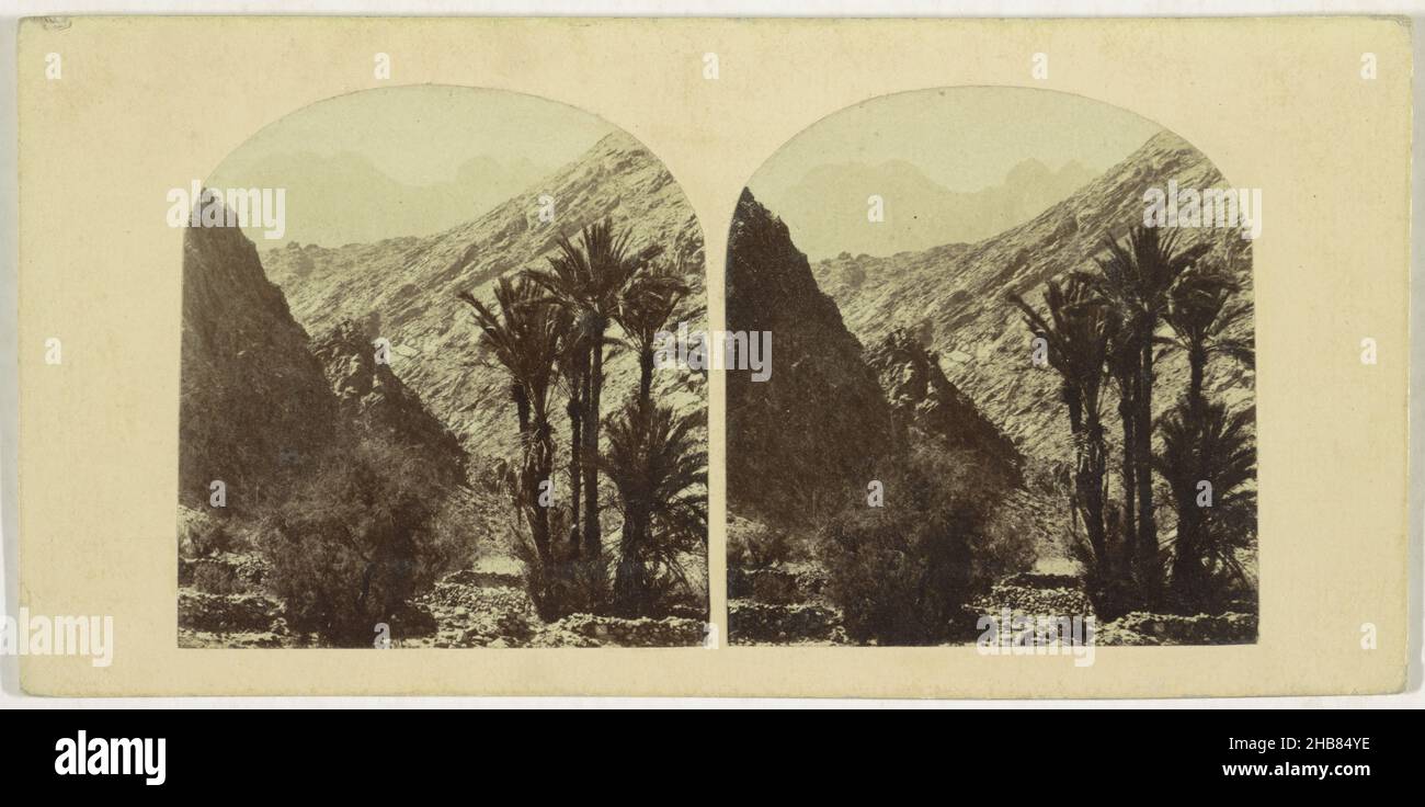 Wadi feiran valley hi-res stock photography and images - Alamy