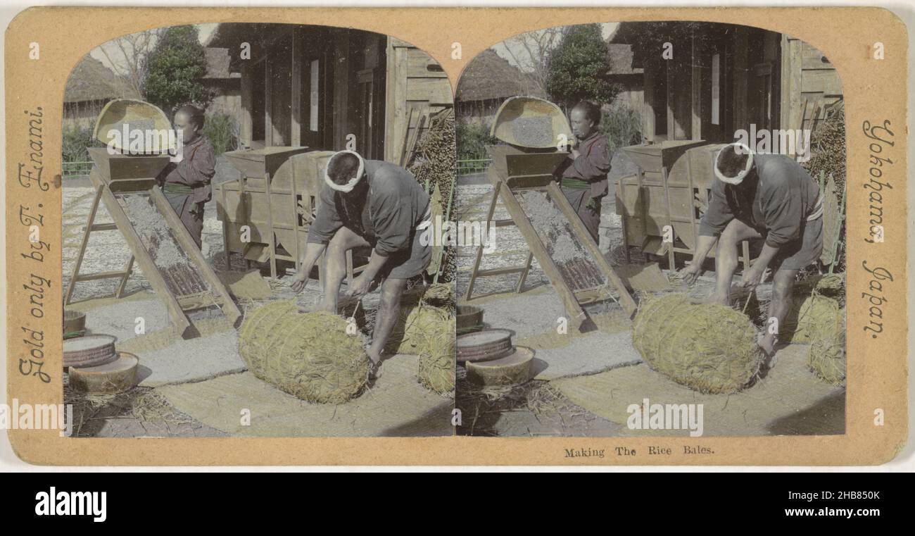 Two people making rice bales, Japan, Making The Rice Bales (title on ...