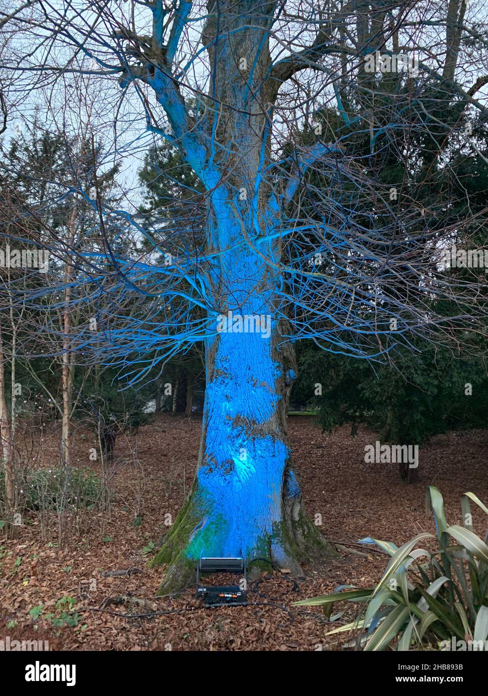 Waddeston Manor National Trust UK Stock Photo - Alamy