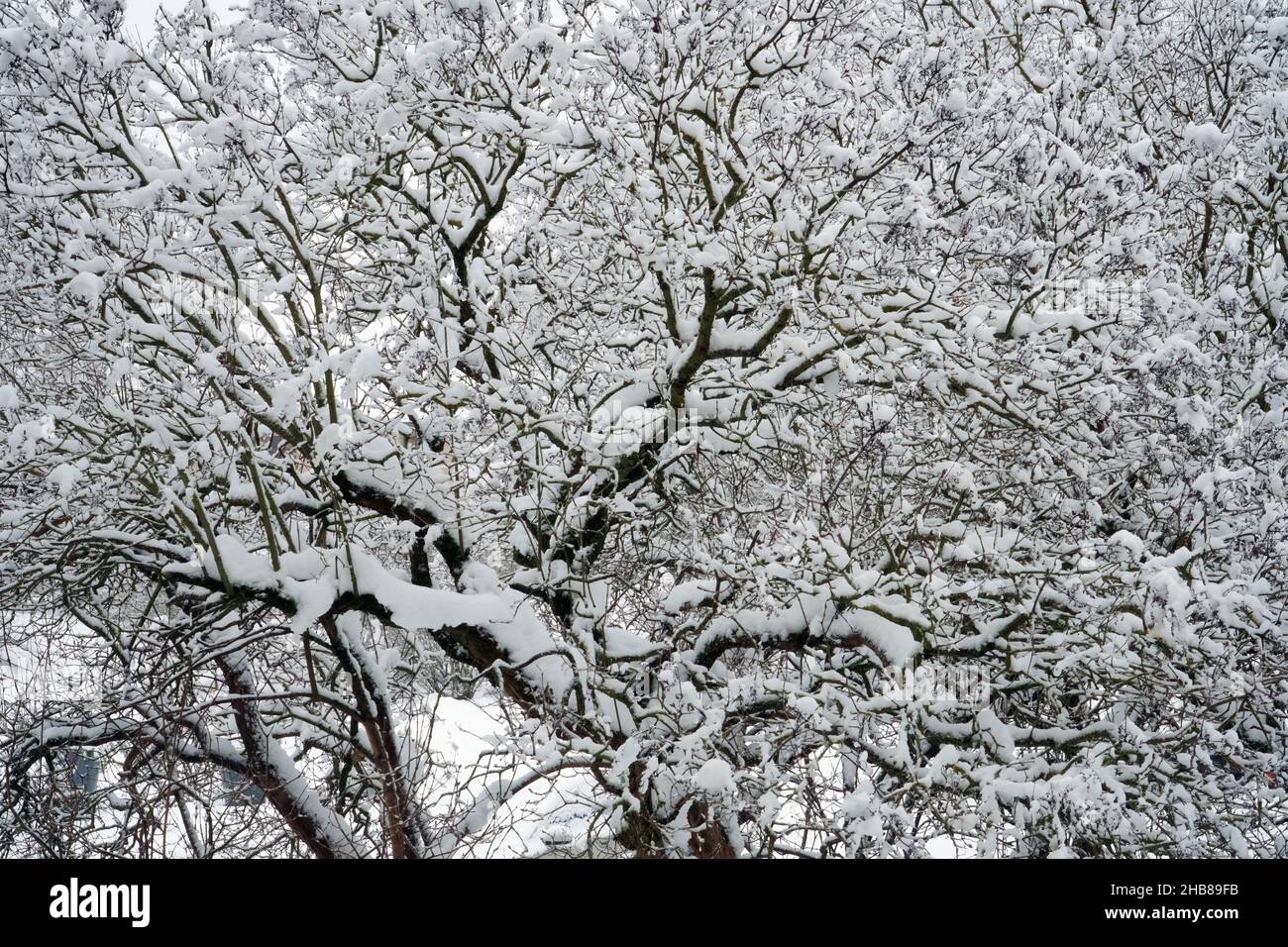 Typical scene scenic view hi-res stock photography and images - Alamy