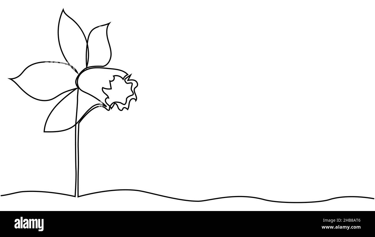 One single line drawing of beauty fresh narcissus for garden. Printable ...