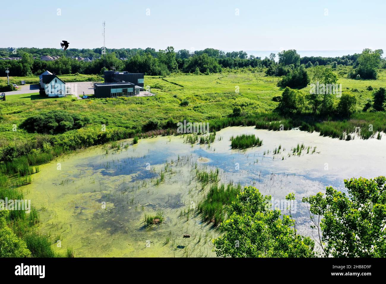 An aerial of Bird Studies Canada building in Port Rowan, Ontario ... An aerial of Bird Studies Canada building in Port Rowan, Ontario ...