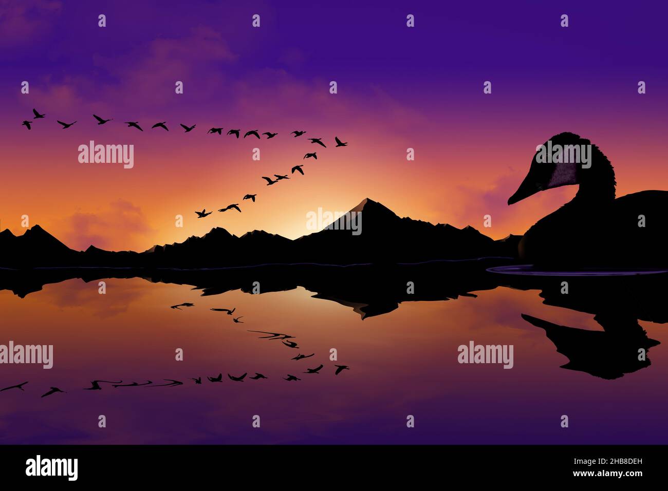 Canada geese flying illustration hi-res stock photography and images ...