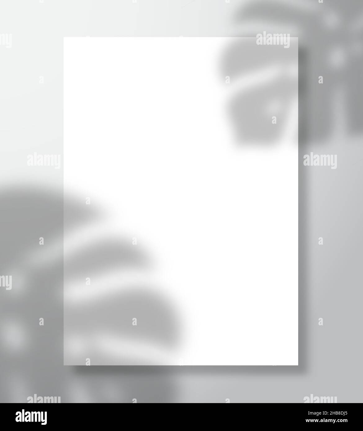 Vector shadow overlay of monstera palm leaves with blank paper ...